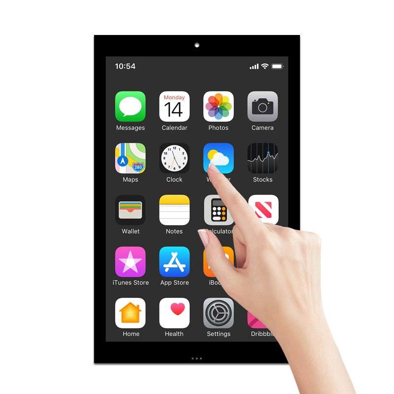 10.1 Inch Tft Lcd Display 1200X1920 Resolution, MIPI Interface, 350 C/D ...